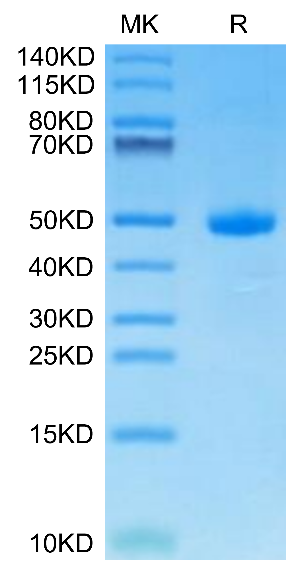 恺佧生物科技（上海）有限公司 - CDH-HM2D3