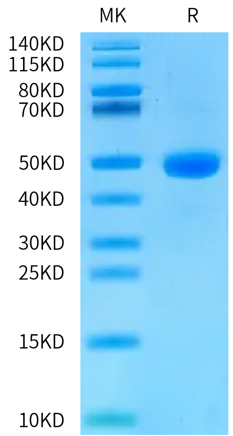 恺佧生物科技（上海）有限公司