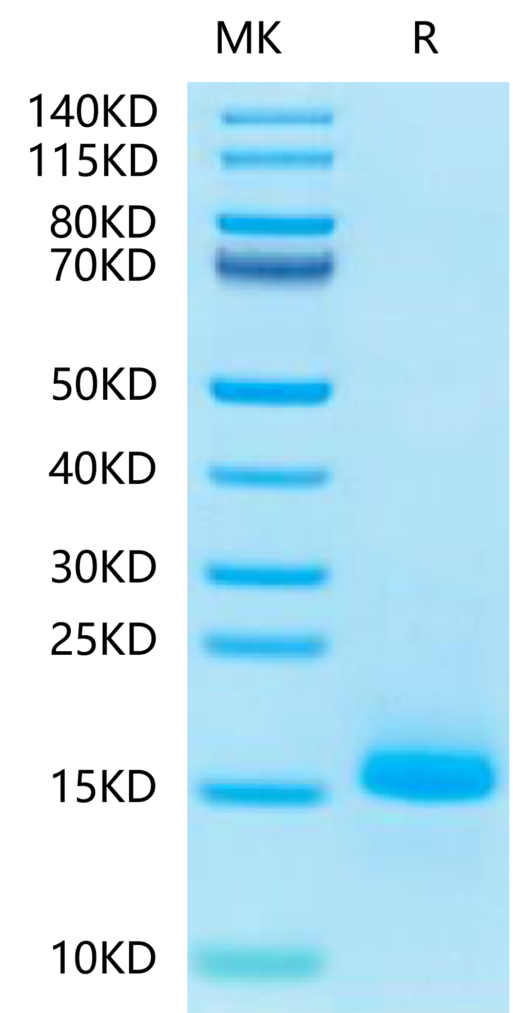 恺佧生物科技（上海）有限公司 - LYD-HM16D