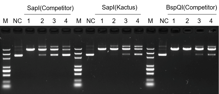 恺佧生物科技（上海）有限公司 - SAP-SE101