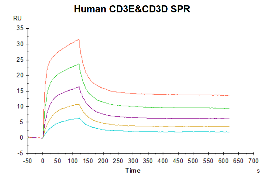恺佧生物科技（上海）有限公司 - CD3 Protein