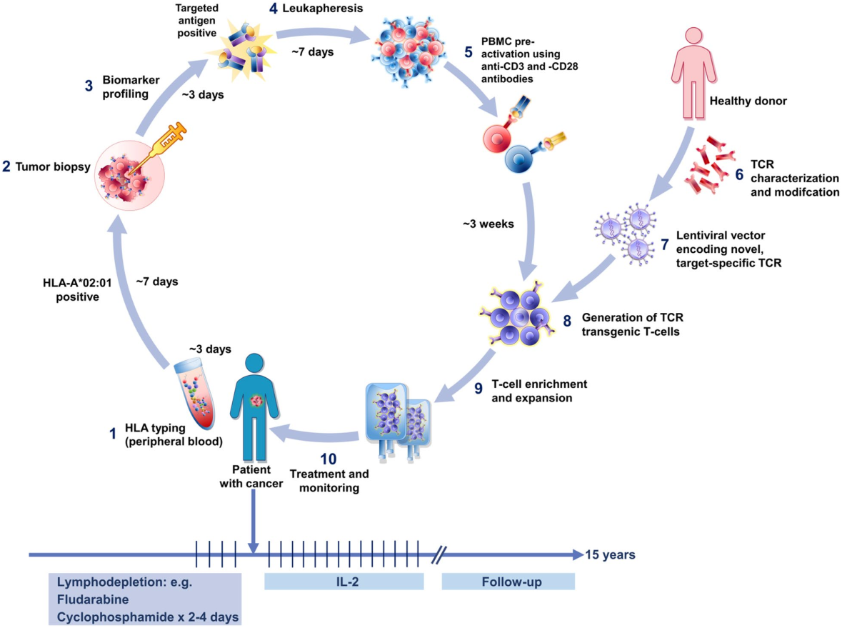恺佧生物科技（上海）有限公司 - 恺佧生物推出TCR相关定制服务，助力TCR免疫疗法