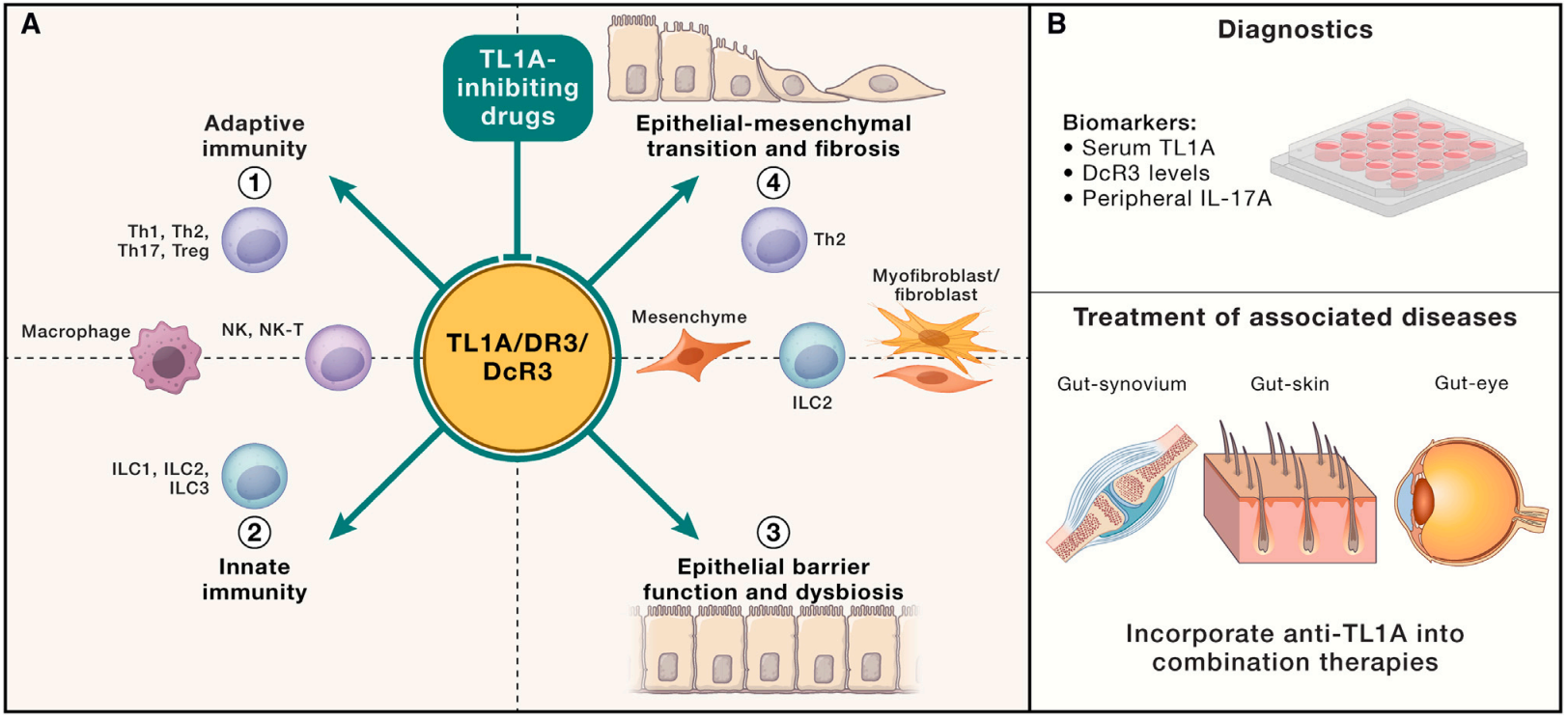 恺佧生物科技（上海）有限公司